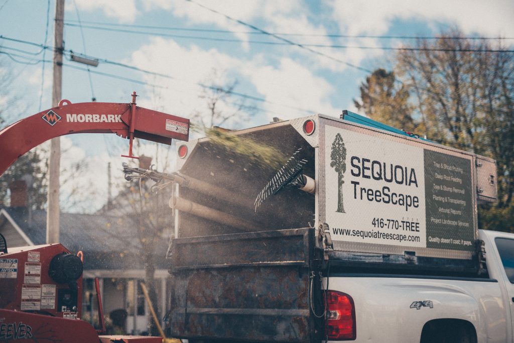 Newmarket ON Arborists | Trained & Certified Tree Service Experts ...